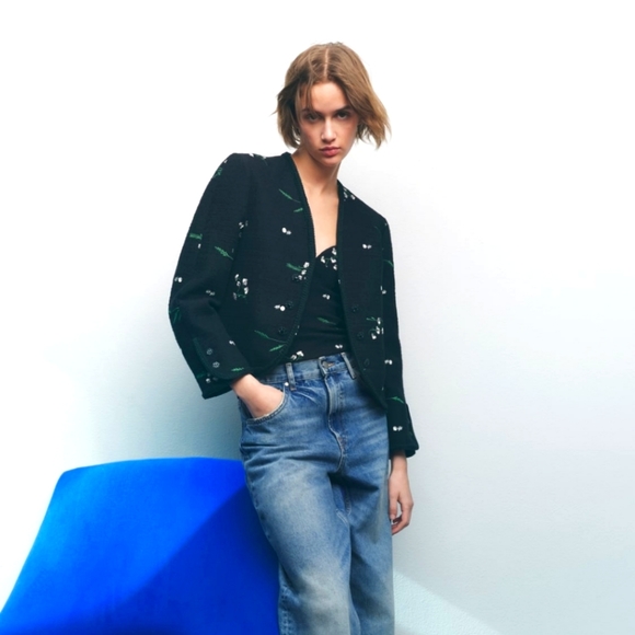 Zara | Jackets & Coats | Zara Embroidered Beautiful Jacket Cardigan M ...